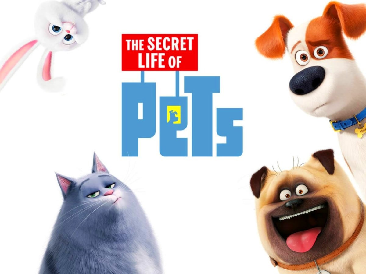 The Complete List of Secret Life of Pets Characters by @animationnation