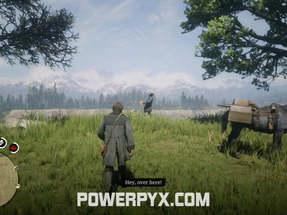 All That Glitters | Red Dead Redemption 2: Stranger Missions List and ...