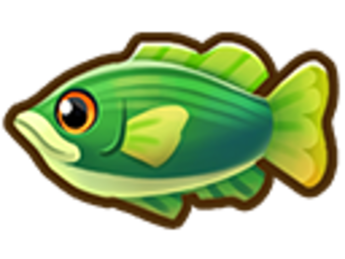 Giant Sea Bass Coral Island Lake Temple Checklist