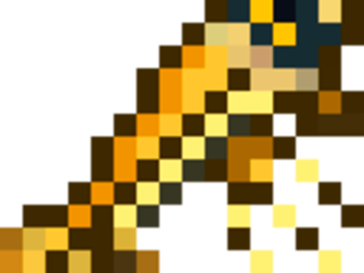 Freshwater Butterfly Fish | Stardew Aquarium Checklist - Stardew Valley ...