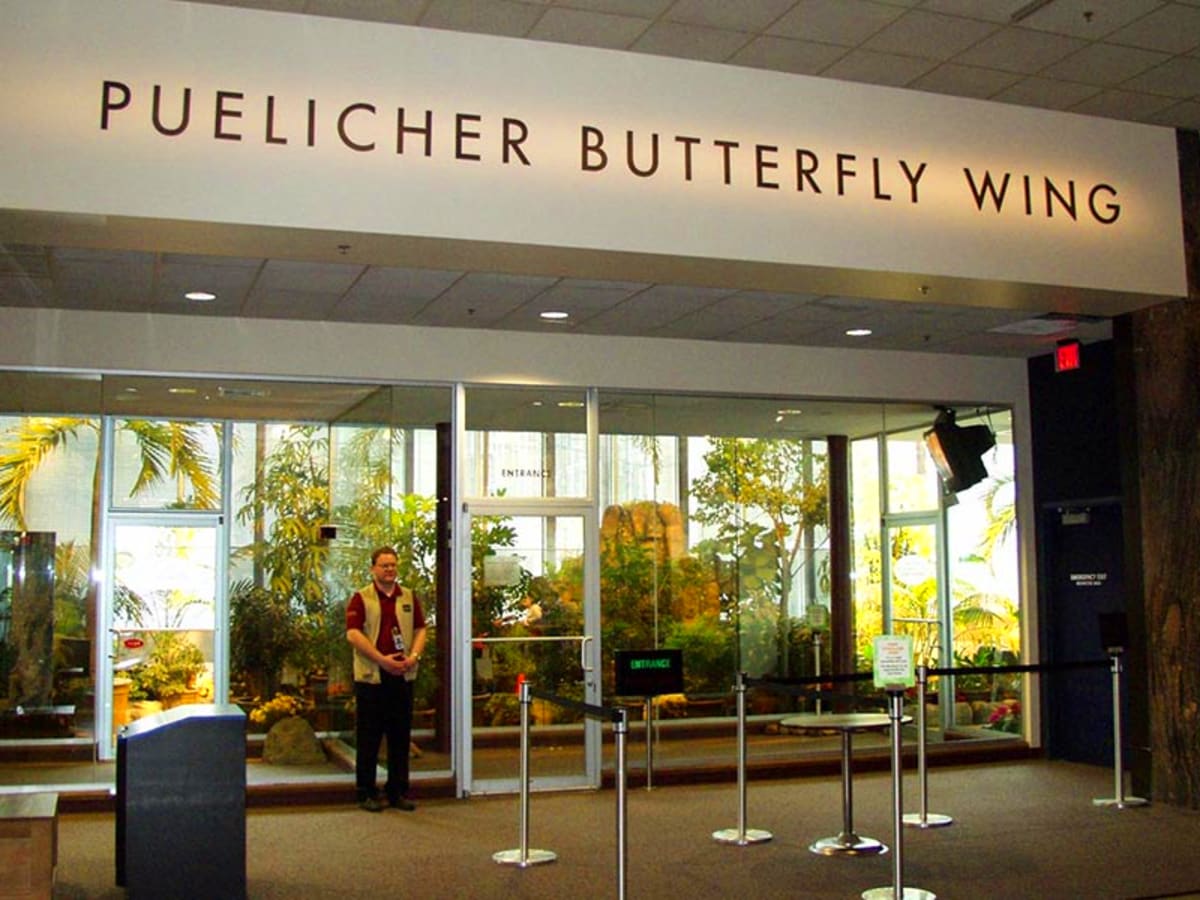 Puelicher Butterfly Wing (Milwaukee Public Museum) | The Ultimate List ...