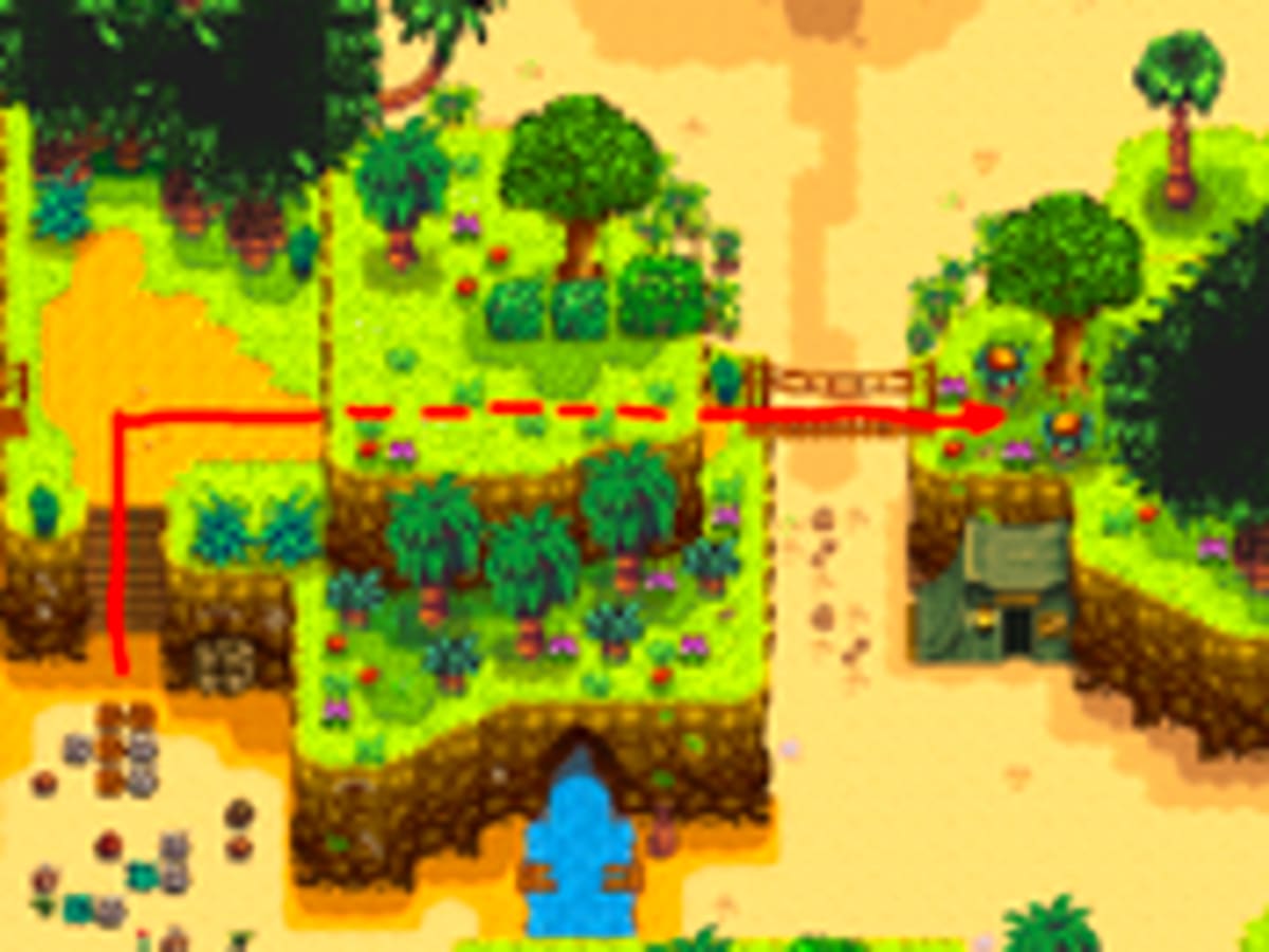 Exploration | Stardew valley Golden Walnuts