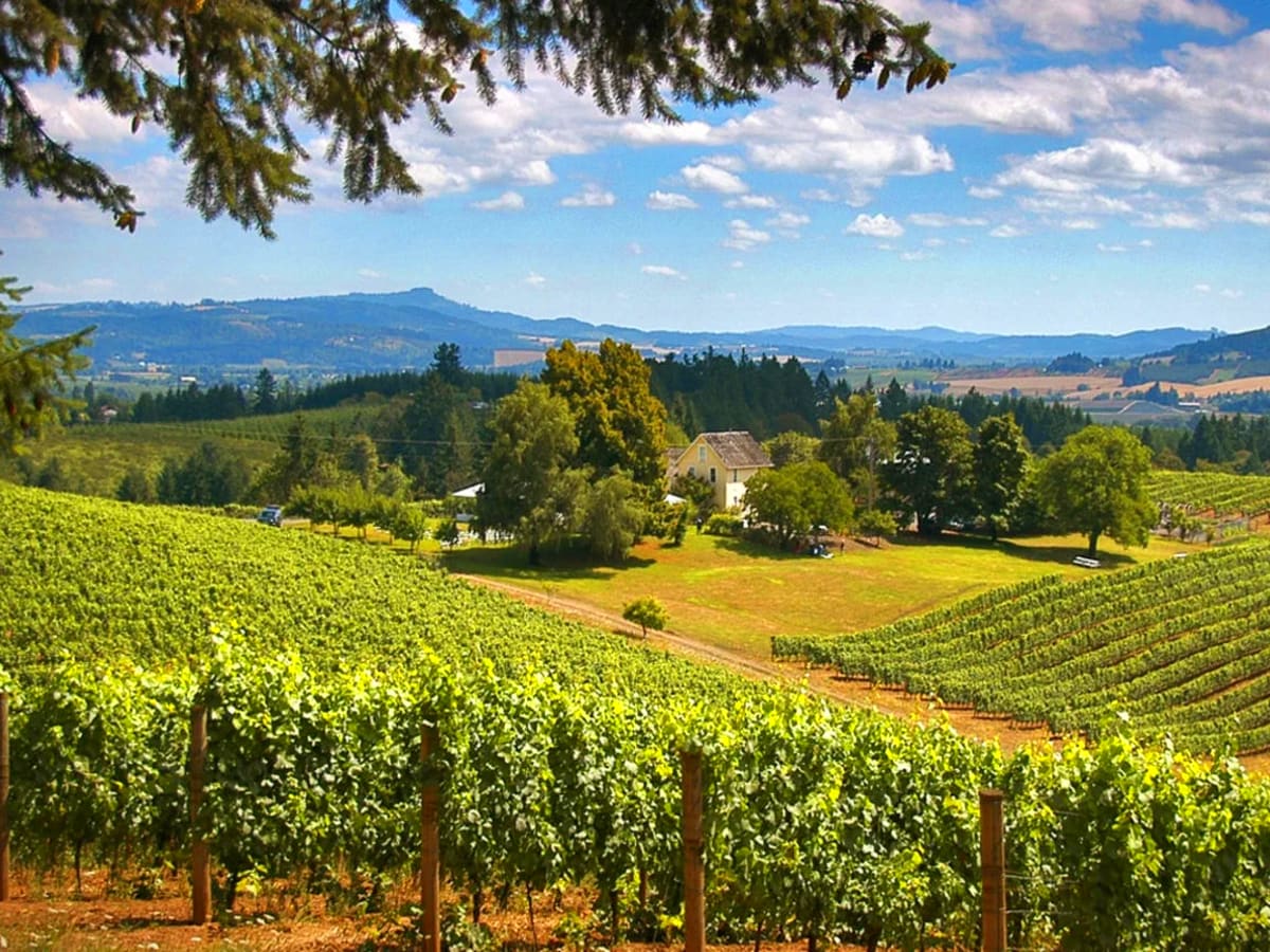 Willamette Valley | The Best Places to visit in Portland - By Eileen's World