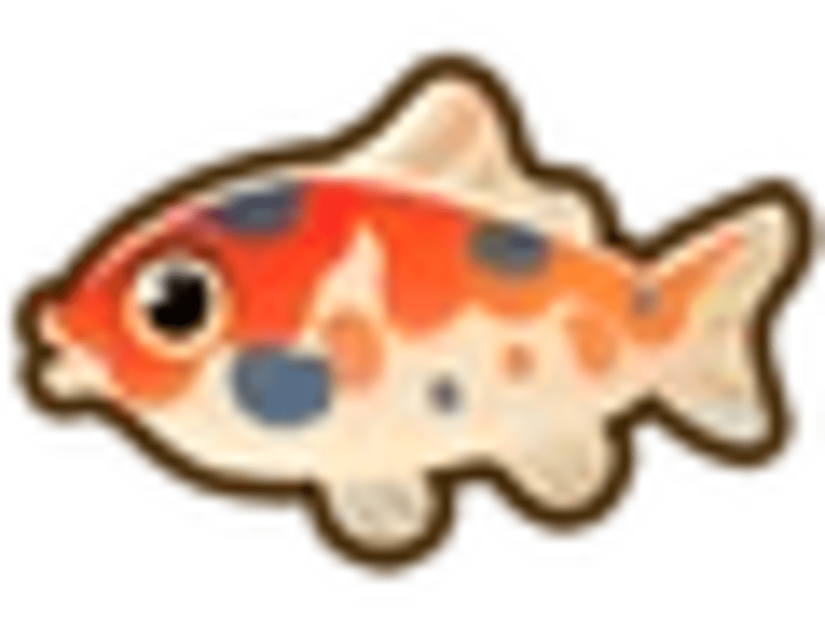 Koi | Coral Island Fishing Guide