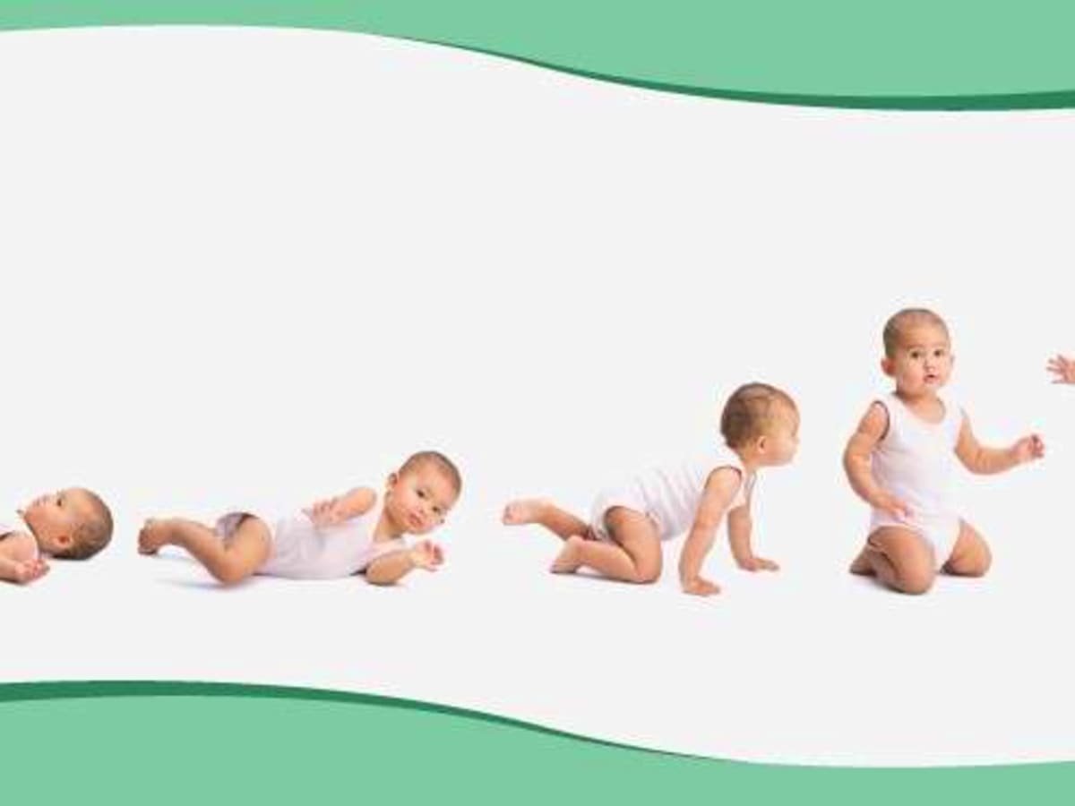 Baby Development Timeline by @nalandar