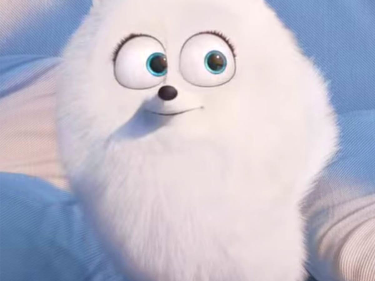 Gidget | The Complete List of Secret Life of Pets Characters