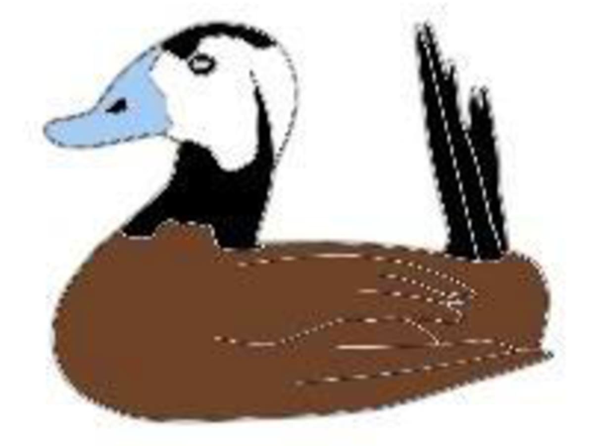 White-Headed Duck | RSPB Badges