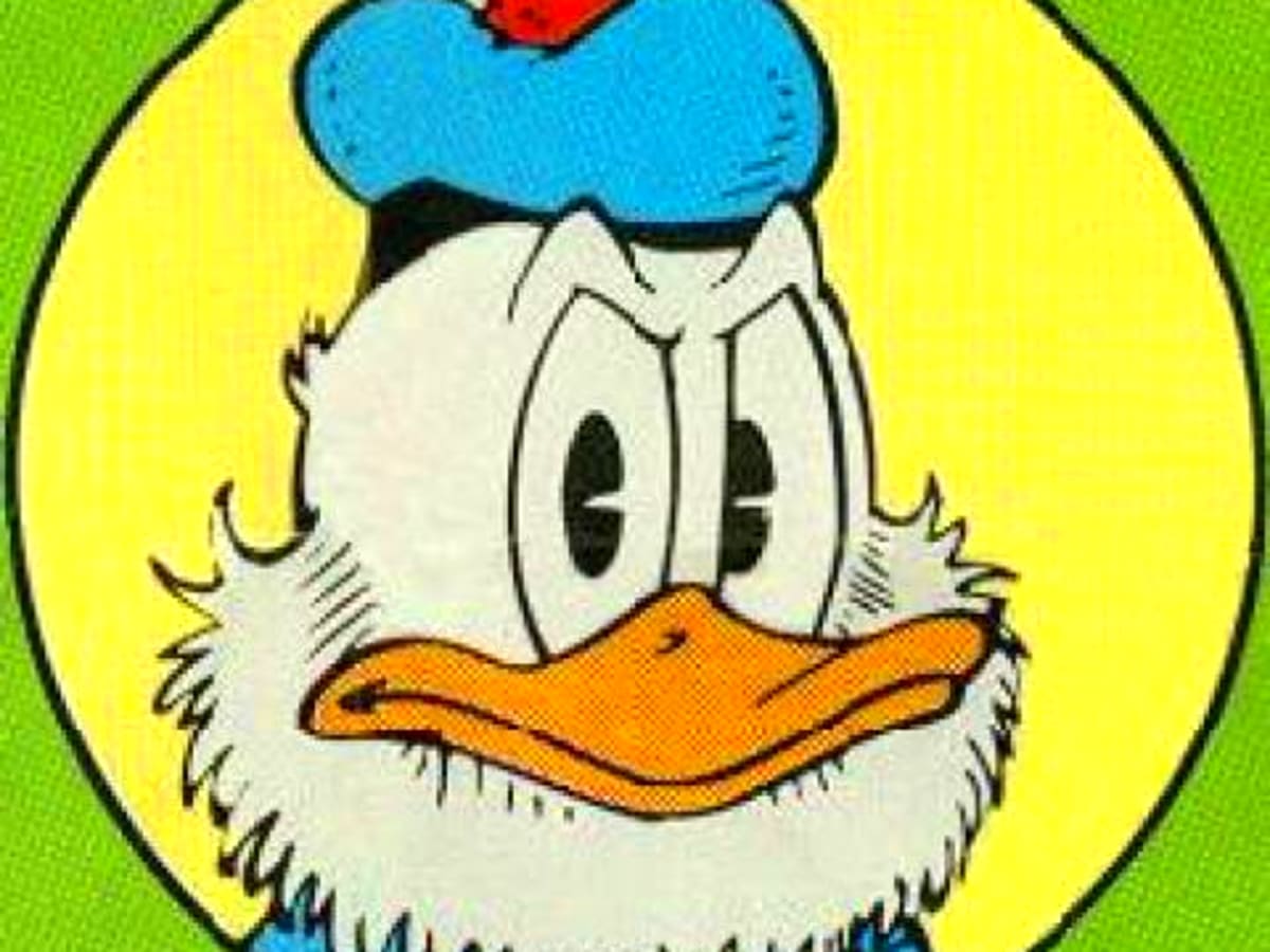 Jake McDuck | 80+ Duck Characters from The Most Popular Cartoons