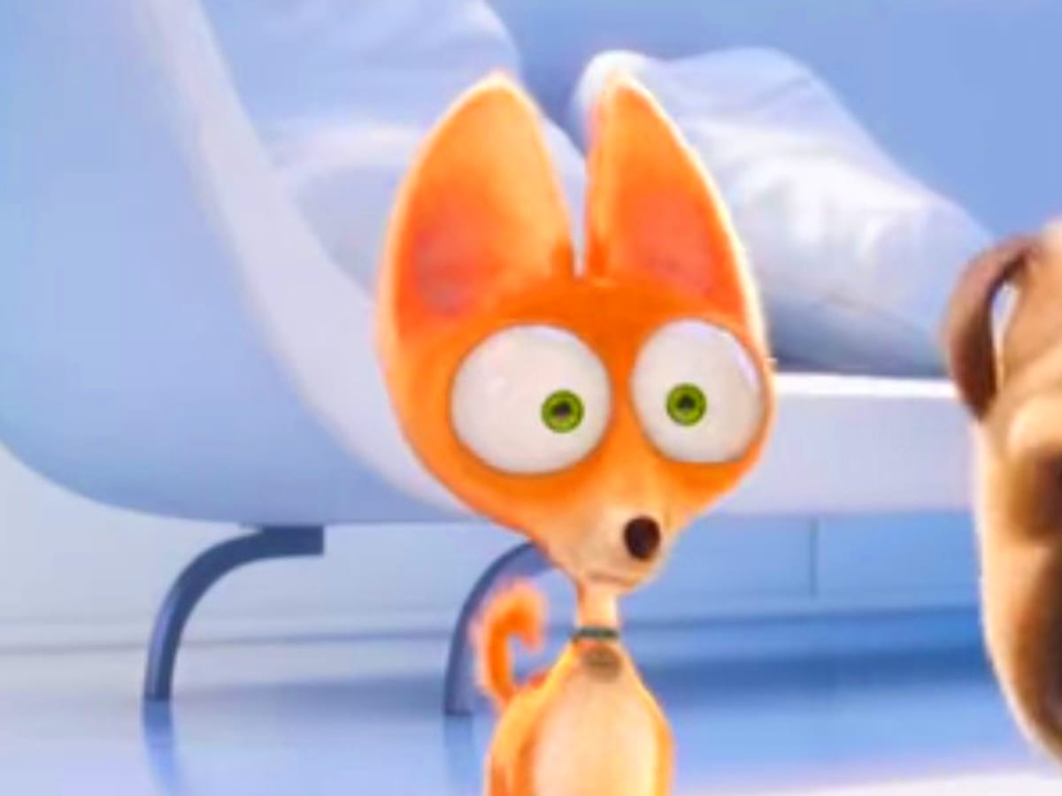 Pepe | The Complete List of Secret Life of Pets Characters