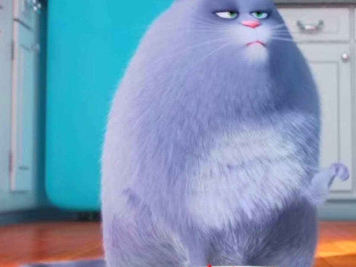 Chloe | The Complete List of Secret Life of Pets Characters