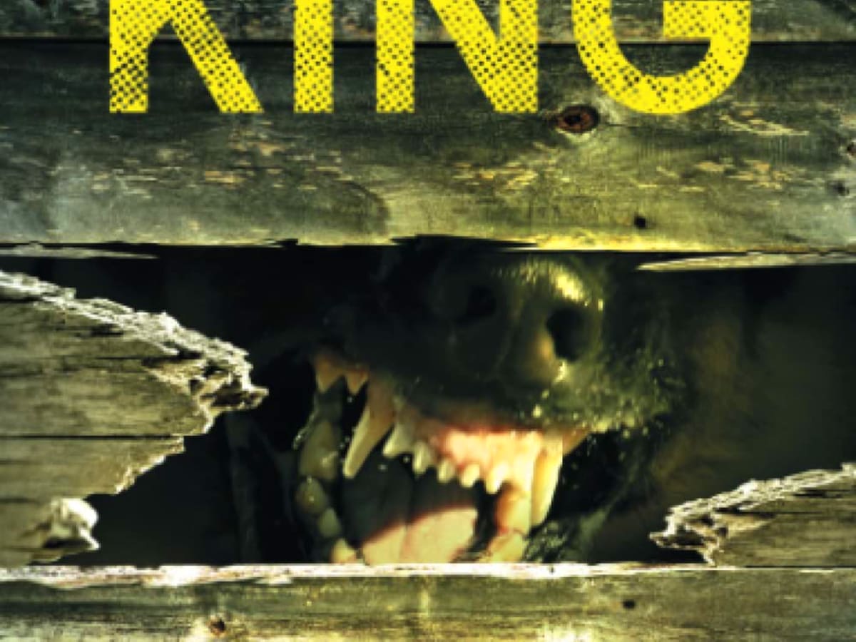 Cujo | Stephen King’s Books in Order