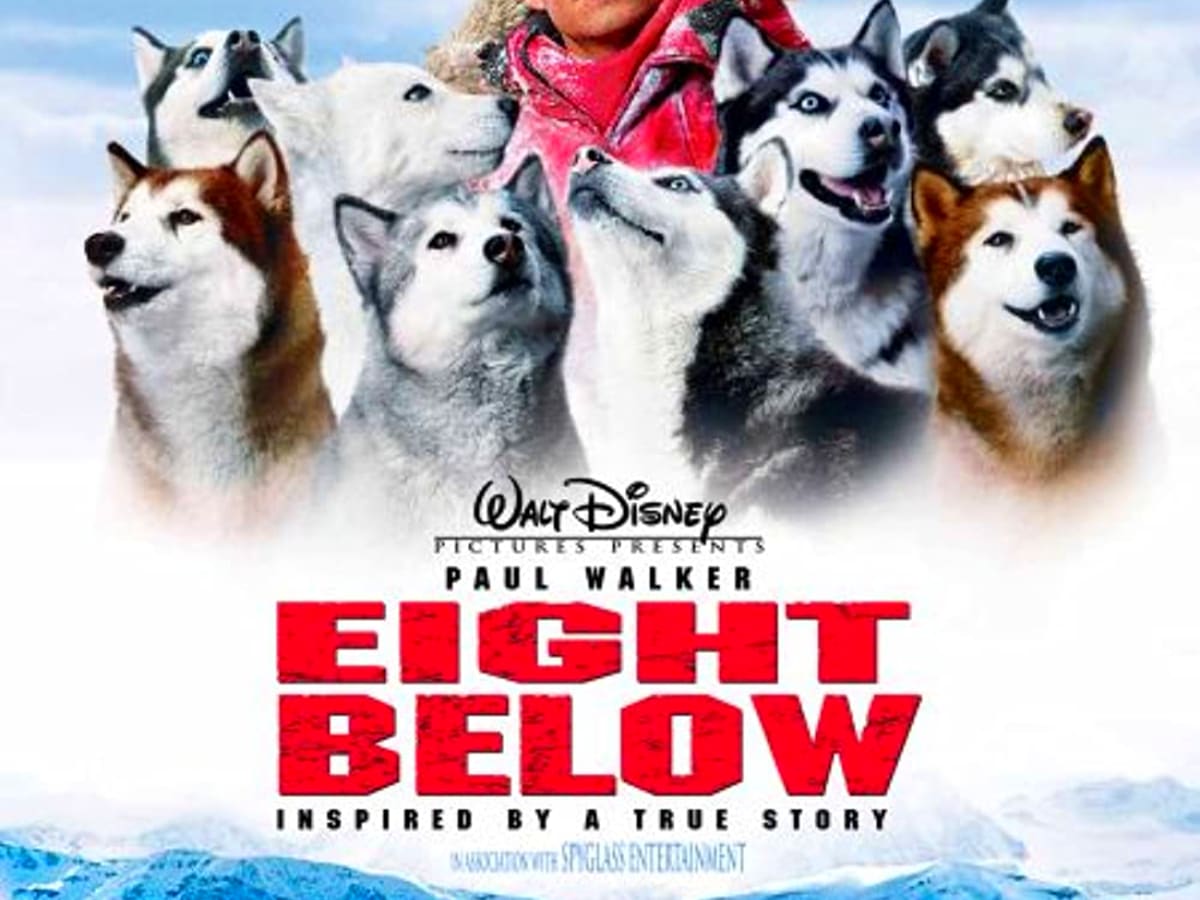 Eight Below | The Complete List of Disney Dog Movies