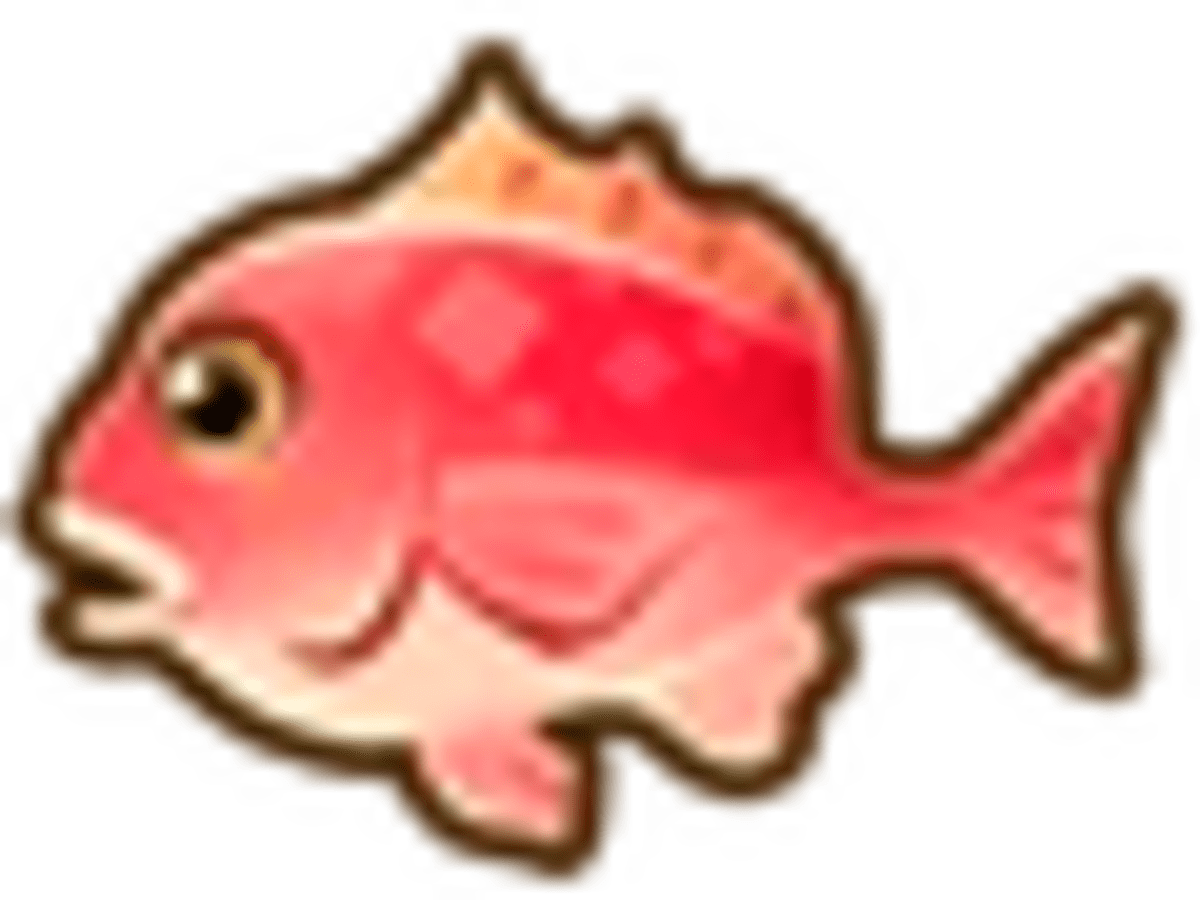 Pink Snapper | Coral Island Fishing Guide