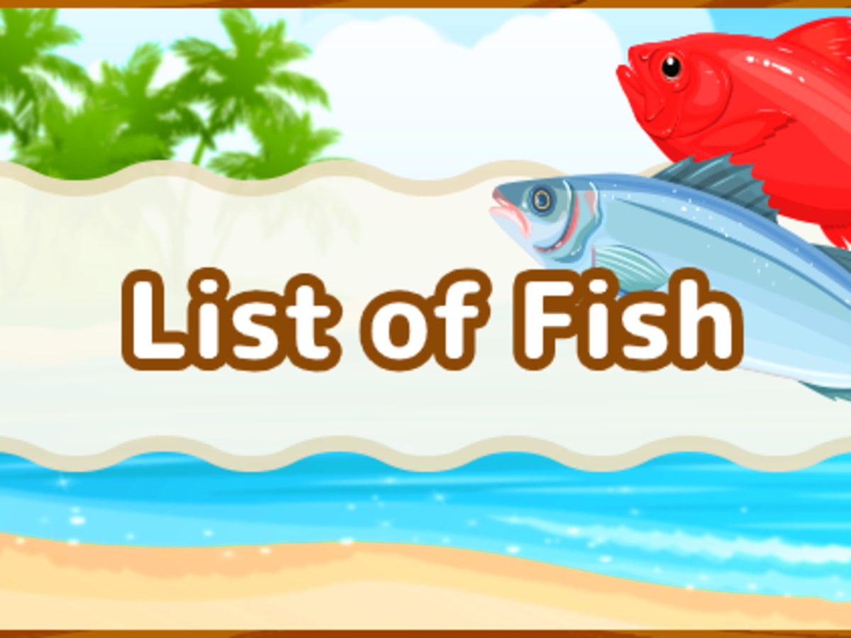 ACNH Northern Hemisphere Fish by @lexyb20