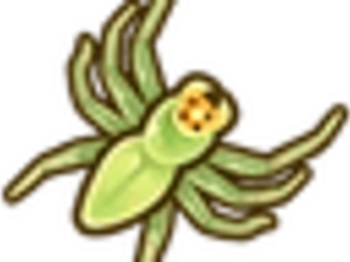 Magnolia Green Jumper | Coral Island Catching Guide