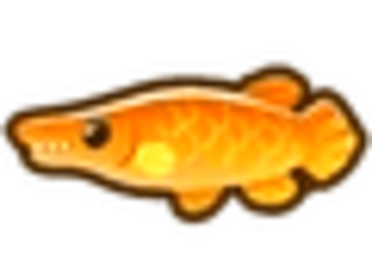 Golden Gar | Coral Island Fishing Guide