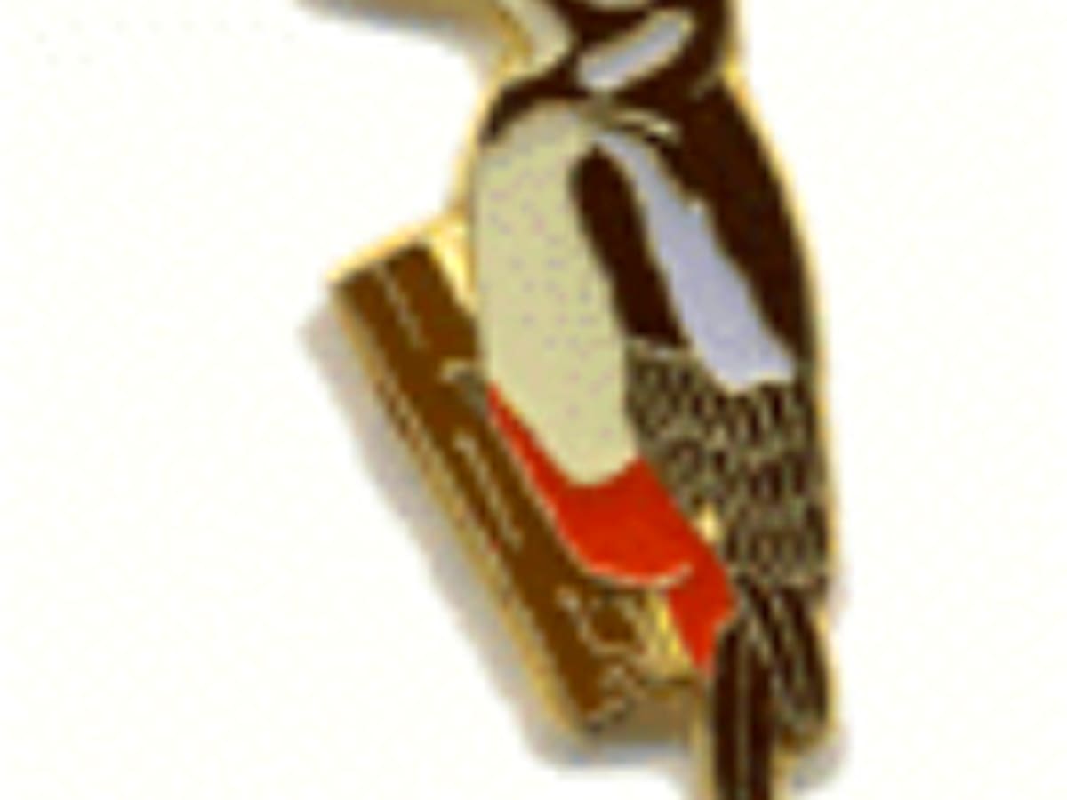 Great Spotted Woodpecker 1 | RSPB Badges