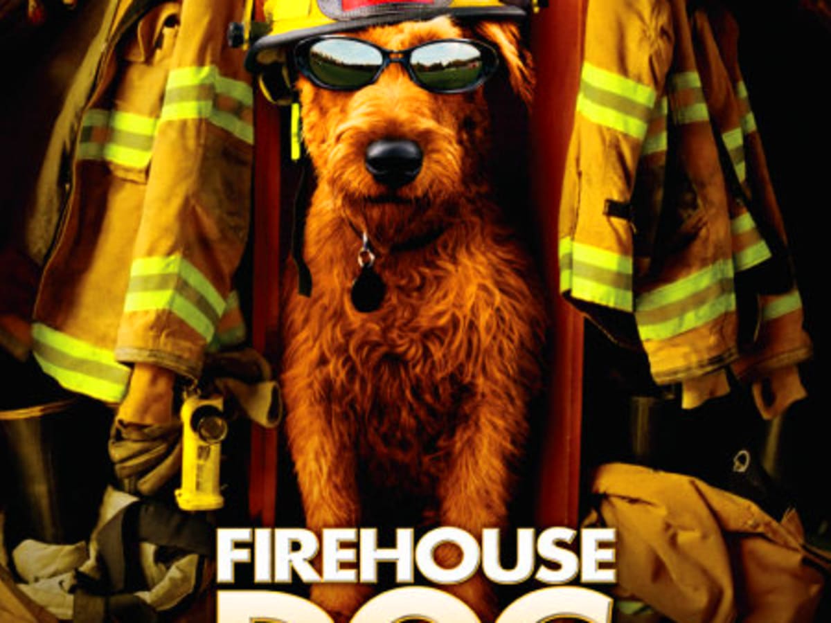 Firehouse Dog | The Ultimate List of 70+ Firefighter Movies and Where ...