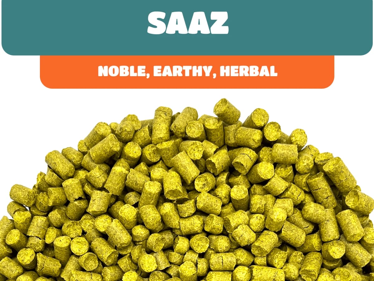 Saaz Hops | Beer Hops