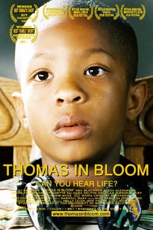 Thomas in Bloom | Netflix - Top 200 Dramas