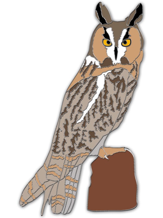 Long Eared Owl 1 | RSPB Badges