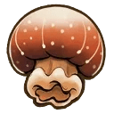 Cannonball Jellyfish | Lake Temple Offerings (Coral Island)