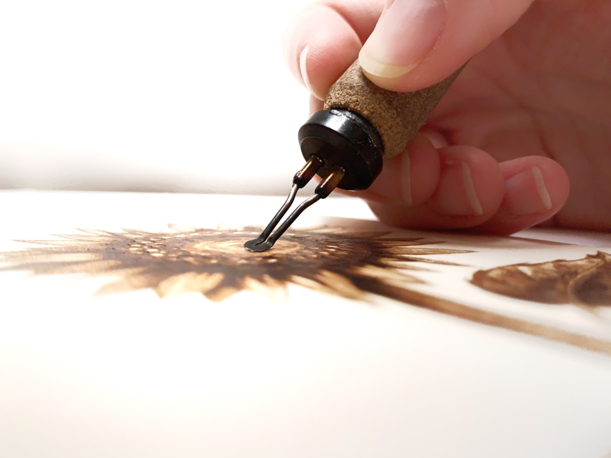 Savvy Pyrography Shading Course | Supplies and Tools You Need To Get ...