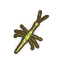 Goliath stick | Dinkum - Fishing, Critter & Bug List