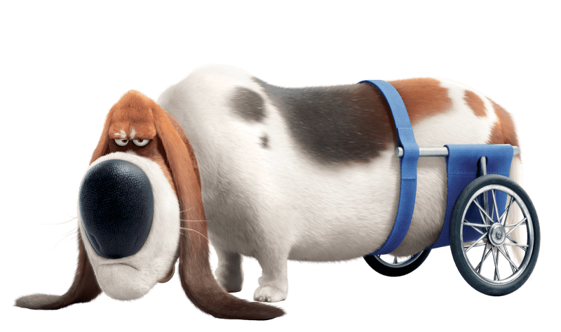 Secret life of pets characters store